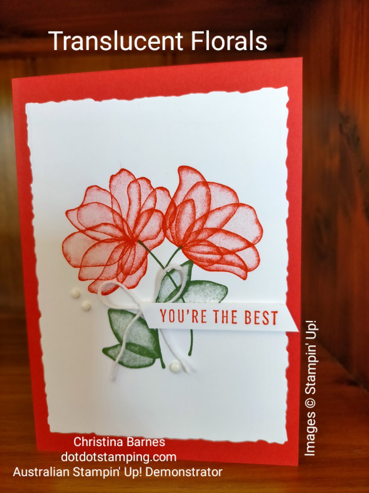 Stampin’ Up! Creativity Now Translucent Florals | Dot Dot Stamping Designs
