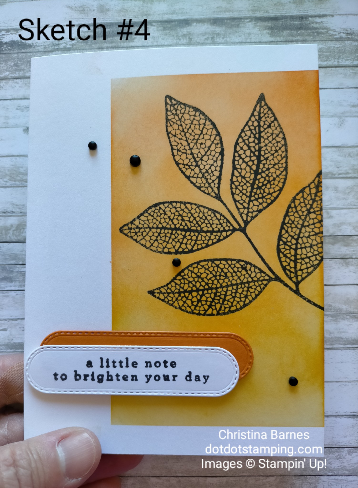 Dot Dot Stamping Designs | Christina Barnes – Paper, Card and Ink ...
